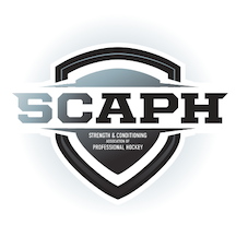 I Made It To the NHL (well, sort of) – David William Rosales